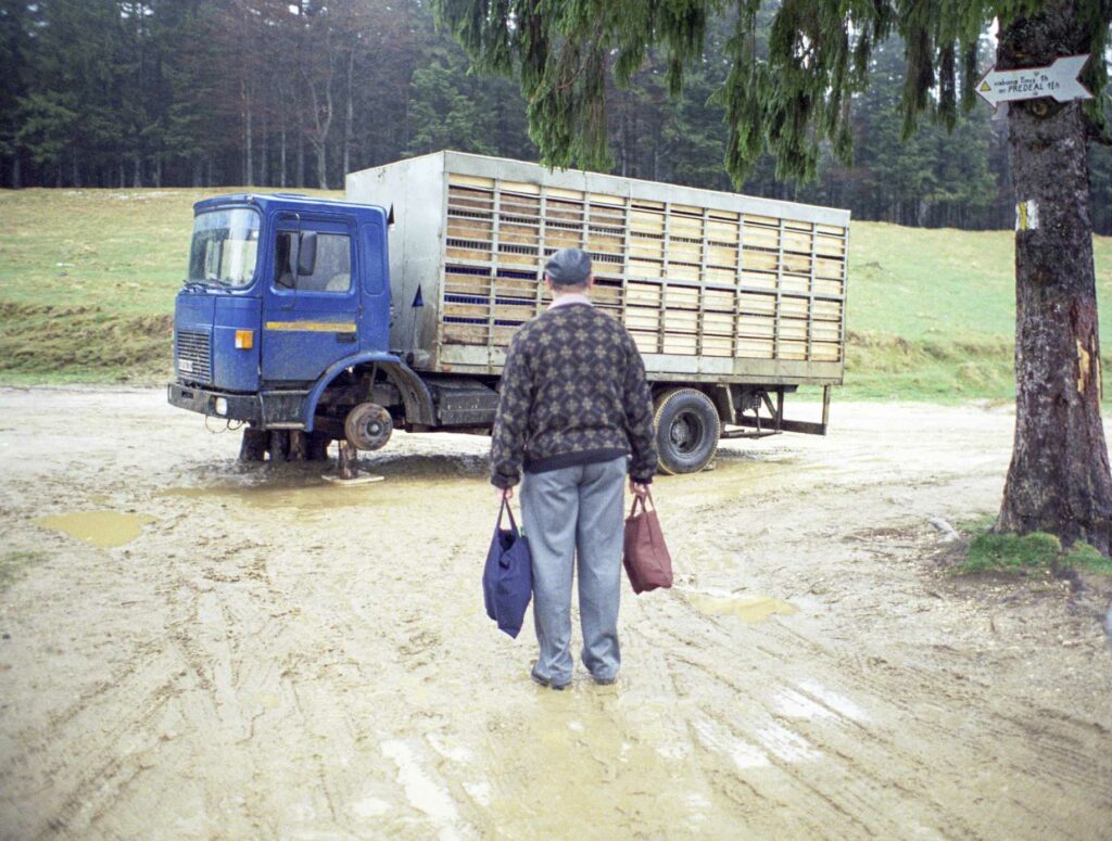 The Legend of the Chicken Driver - SEMINCI